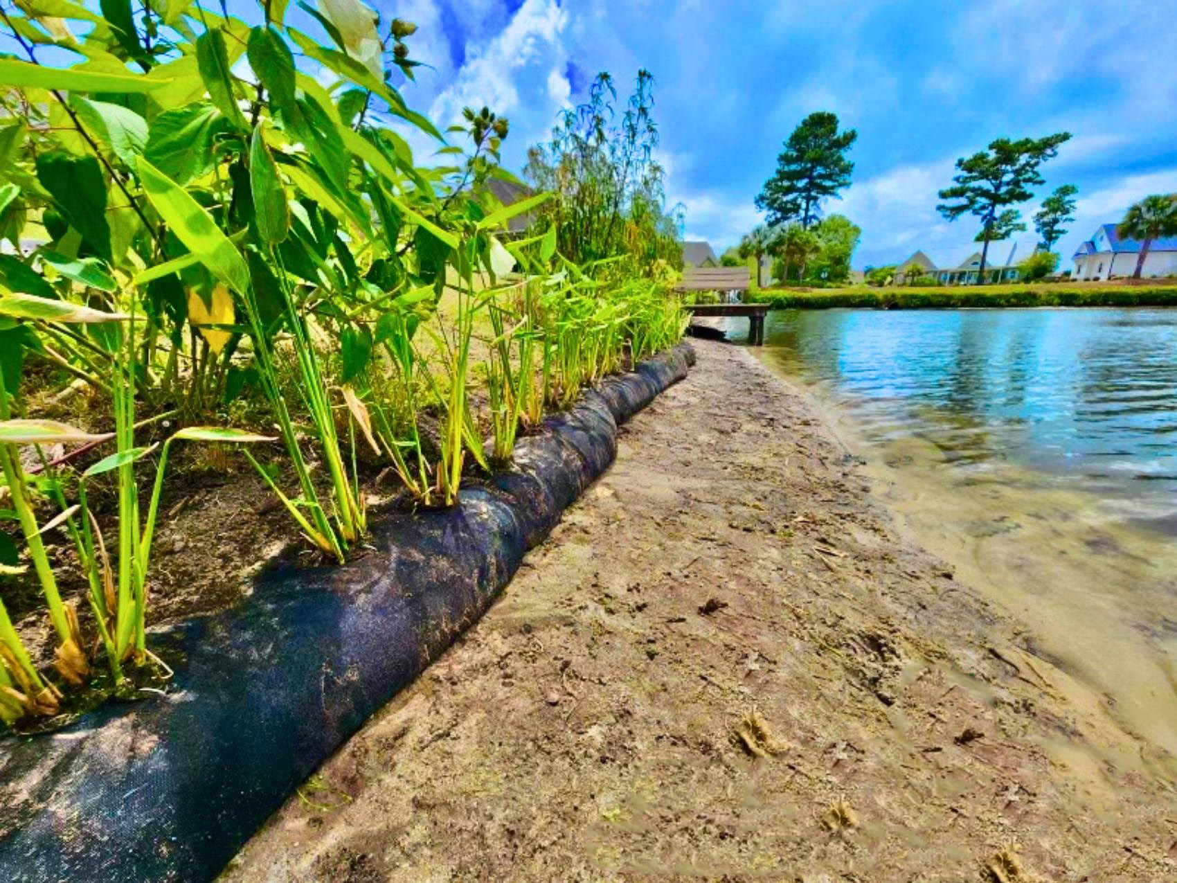 Coastal Shoreline Restoration Project — Bland Landscaping