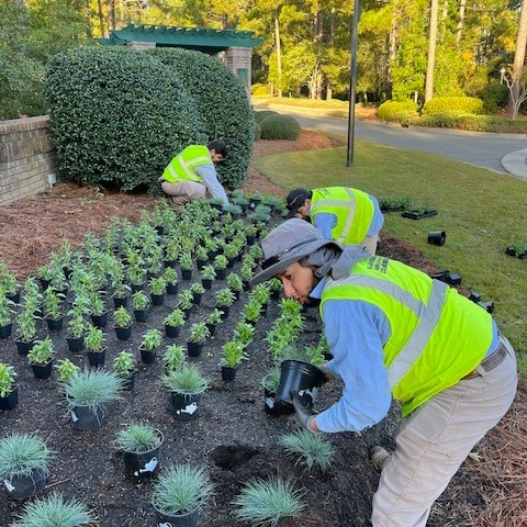 Fall Floriculture Installations at Legacy Park — Bland Landscaping